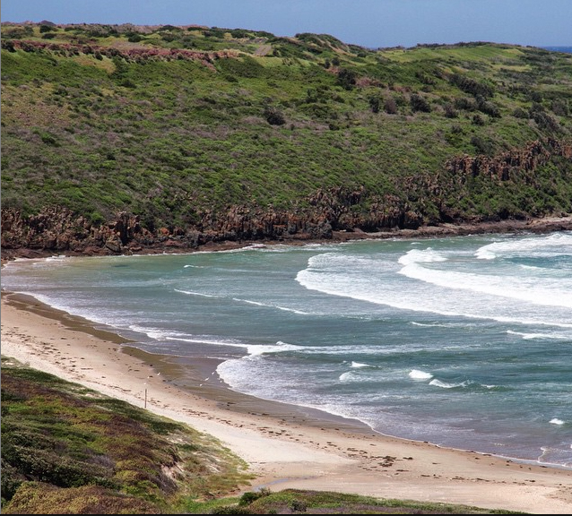 Killalea Beach (Farm Beach) in pictures – Little Green Nomad