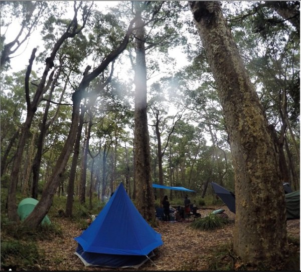 Meroo National Park in Pictures – Little Green Nomad