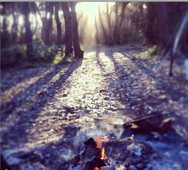 Meroo National Park in Pictures – Little Green Nomad