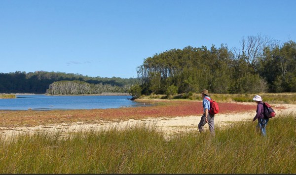 Meroo National Park in Pictures – Little Green Nomad