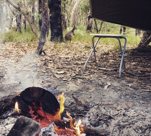 Meroo National Park in Pictures – Little Green Nomad