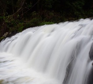 Malanda Falls Swimming Hole near Cairns – Little Green Nomad