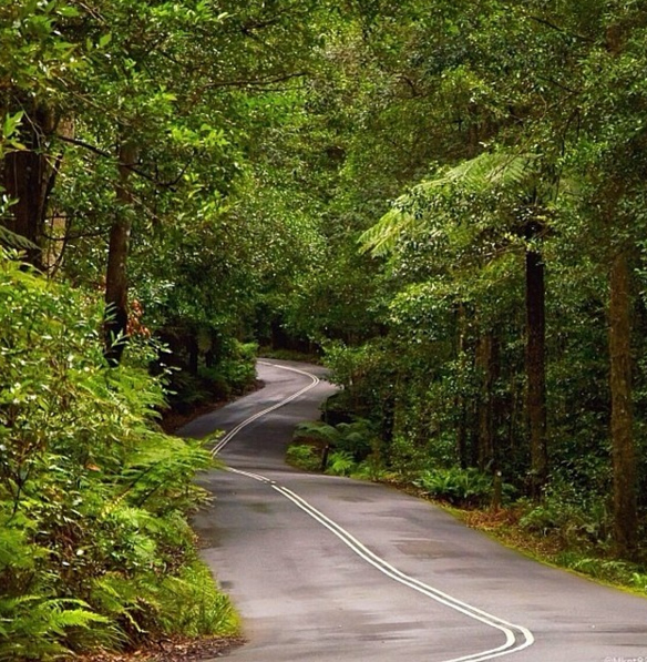 Blue Mountains, Australia: 29 pictures that will make you go WOW ...