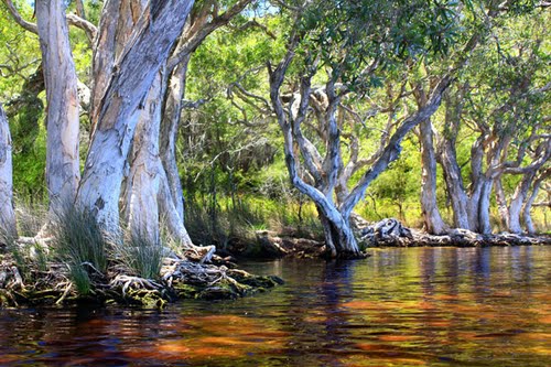 Boomeri Campground: Myall Lakes Camping – Little Green Nomad