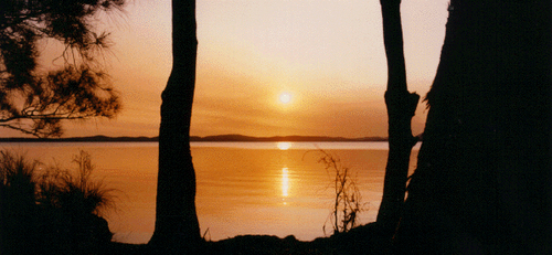 White Tree Bay: Myall Lakes Camping – Little Green Nomad