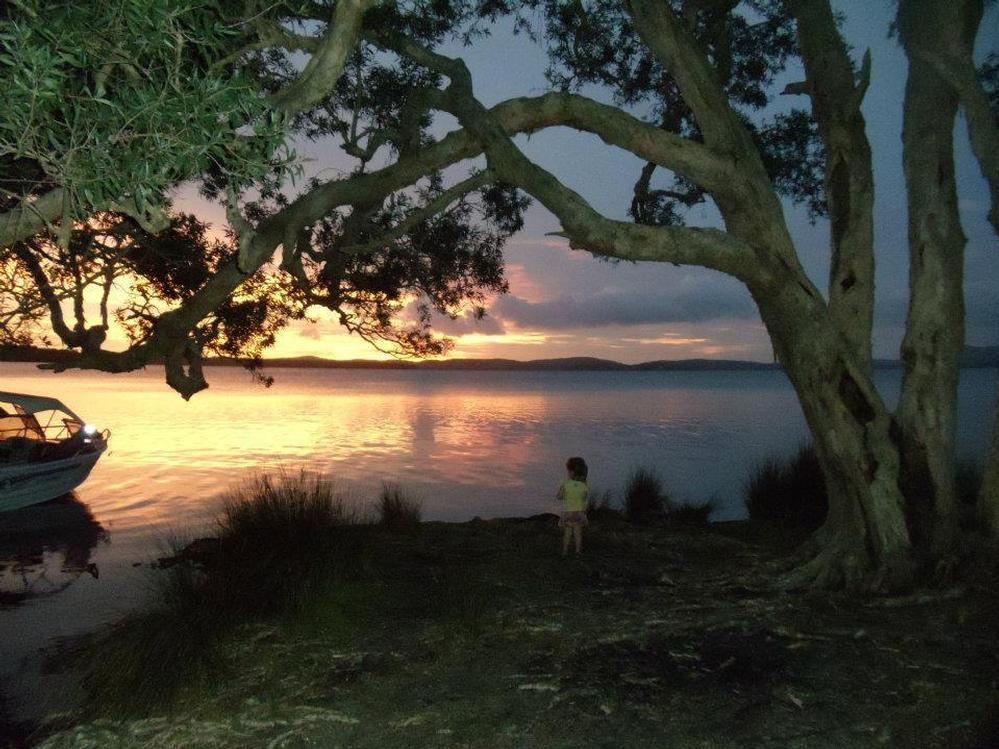 White Tree Bay: Myall Lakes Camping – Little Green Nomad